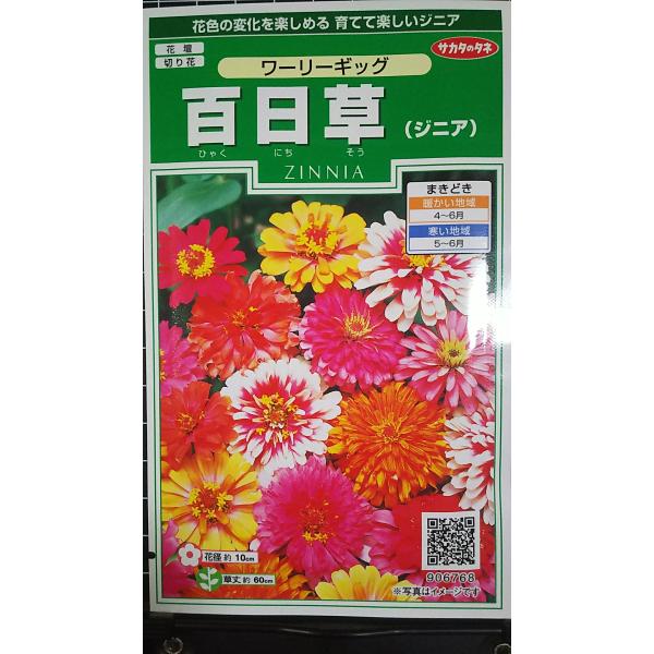 合計350円以下でのご注文は、申し訳ありませんがお受けできなくなっております。在庫切れ防止のため、実際の在庫数より販売可能数を少なく設定しております。まとまった数量をご希望の場合は、お問い合わせください。いろいろな品種を、よりどり３袋以上で...