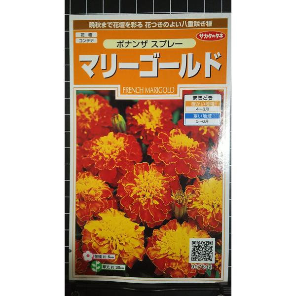 合計350円以下でのご注文は、申し訳ありませんがお受けできなくなっております。在庫切れ防止のため、実際の在庫数より販売可能数を少なく設定しております。まとまった数量をご希望の場合は、お問い合わせください。いろいろな品種を、よりどり３袋以上で...