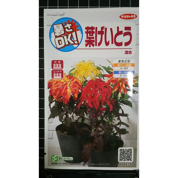 合計350円以下でのご注文は、申し訳ありませんがお受けできなくなっております。在庫切れ防止のため、実際の在庫数より販売可能数を少なく設定しております。まとまった数量をご希望の場合は、お問い合わせください。いろいろな品種を、よりどり３袋以上で...