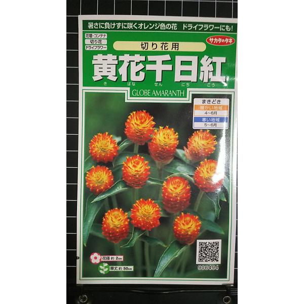 合計350円以下でのご注文は、申し訳ありませんがお受けできなくなっております。在庫切れ防止のため、実際の在庫数より販売可能数を少なく設定しております。まとまった数量をご希望の場合は、お問い合わせください。いろいろな品種を、よりどり３袋以上で...