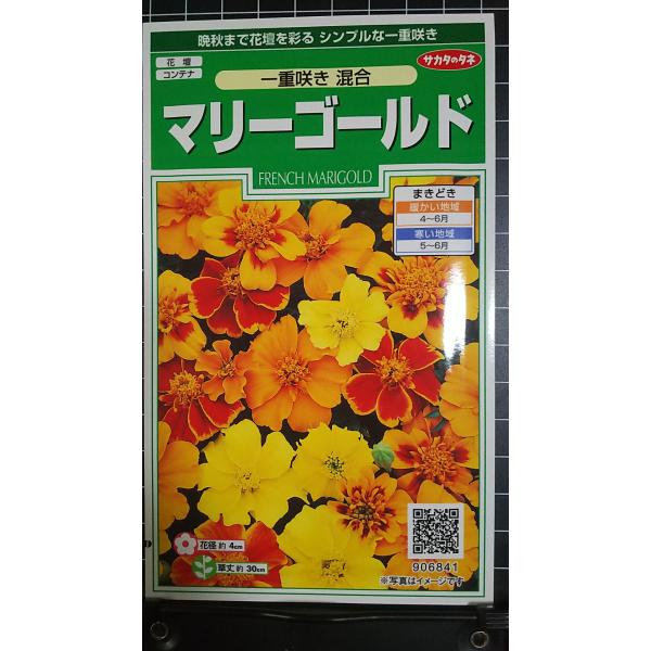 合計350円以下でのご注文は、申し訳ありませんがお受けできなくなっております。在庫切れ防止のため、実際の在庫数より販売可能数を少なく設定しております。まとまった数量をご希望の場合は、お問い合わせください。いろいろな品種を、よりどり３袋以上で...