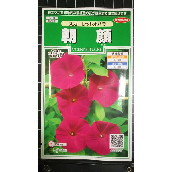 合計350円以下でのご注文は、申し訳ありませんがお受けできなくなっております。在庫切れ防止のため、実際の在庫数より販売可能数を少なく設定しております。まとまった数量をご希望の場合は、お問い合わせください。いろいろな品種を、よりどり３袋以上で...