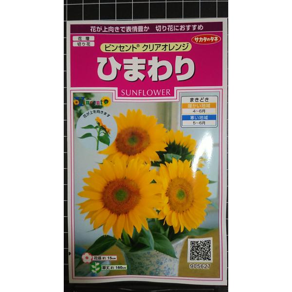 合計350円以下でのご注文は、申し訳ありませんがお受けできなくなっております。在庫切れ防止のため、実際の在庫数より販売可能数を少なく設定しております。まとまった数量をご希望の場合は、お問い合わせください。いろいろな品種を、よりどり３袋以上で...