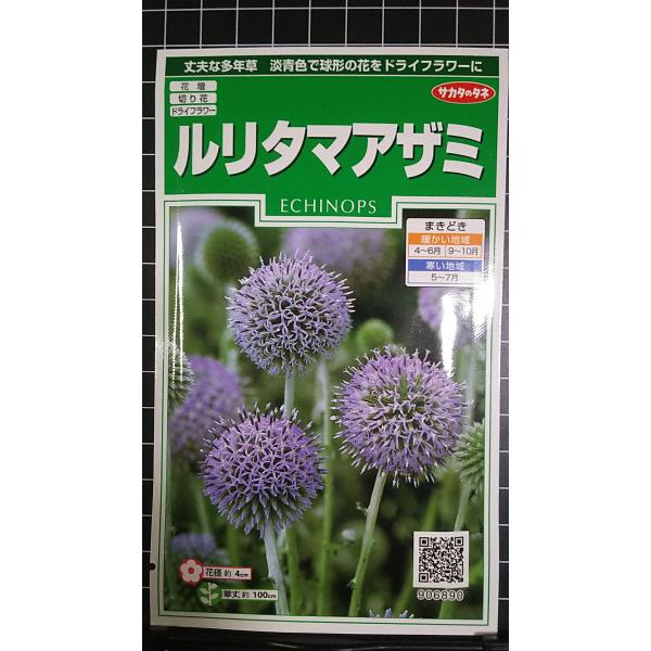 合計350円以下でのご注文は、申し訳ありませんがお受けできなくなっております。在庫切れ防止のため、実際の在庫数より販売可能数を少なく設定しております。まとまった数量をご希望の場合は、お問い合わせください。いろいろな品種を、よりどり３袋以上で...