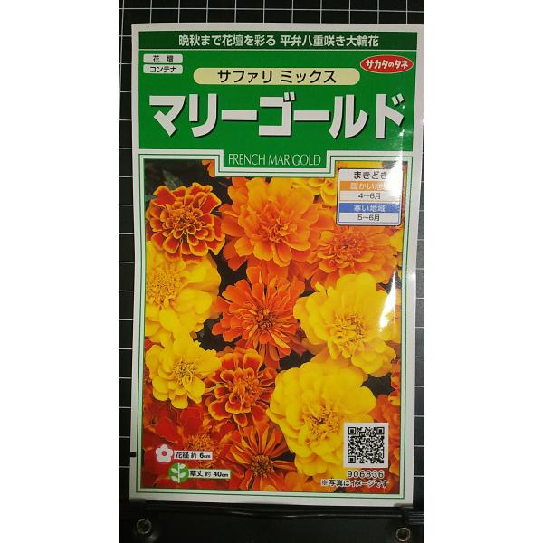 合計350円以下でのご注文は、申し訳ありませんがお受けできなくなっております。在庫切れ防止のため、実際の在庫数より販売可能数を少なく設定しております。まとまった数量をご希望の場合は、お問い合わせください。いろいろな品種を、よりどり３袋以上で...