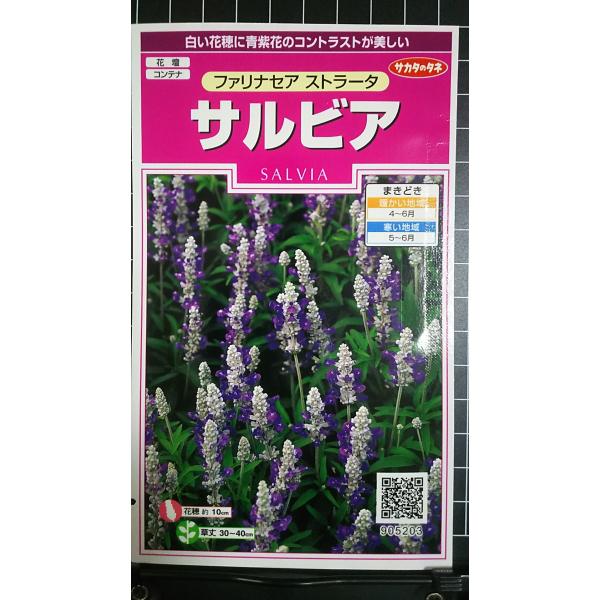合計350円以下でのご注文は、申し訳ありませんがお受けできなくなっております。在庫切れ防止のため、実際の在庫数より販売可能数を少なく設定しております。まとまった数量をご希望の場合は、お問い合わせください。いろいろな品種を、よりどり３袋以上で...