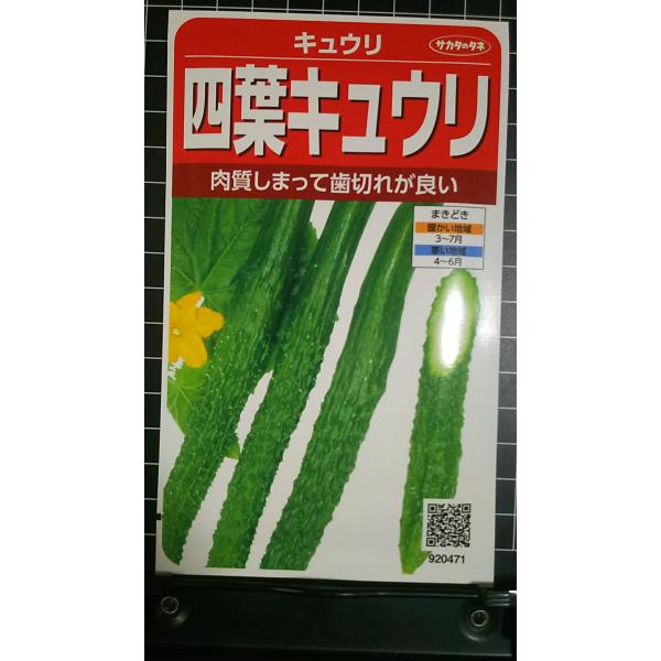 合計350円以下でのご注文は、申し訳ありませんがお受けできなくなっております。在庫切れ防止のため、実際の在庫数より販売可能数を少なく設定しております。まとまった数量をご希望の場合は、お問い合わせください。いろいろな品種を、よりどり３袋以上で...