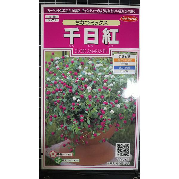 合計350円以下でのご注文は、申し訳ありませんがお受けできなくなっております。在庫切れ防止のため、実際の在庫数より販売可能数を少なく設定しております。まとまった数量をご希望の場合は、お問い合わせください。いろいろな品種を、よりどり３袋以上で...