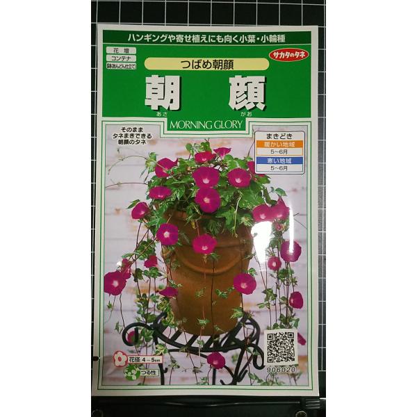 合計350円以下でのご注文は、申し訳ありませんがお受けできなくなっております。在庫切れ防止のため、実際の在庫数より販売可能数を少なく設定しております。まとまった数量をご希望の場合は、お問い合わせください。いろいろな品種を、よりどり３袋以上で...