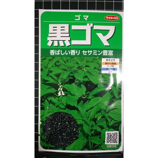 合計350円以下でのご注文は、申し訳ありませんがお受けできなくなっております。在庫切れ防止のため、実際の在庫数より販売可能数を少なく設定しております。まとまった数量をご希望の場合は、お問い合わせください。いろいろな品種を、よりどり３袋以上で...