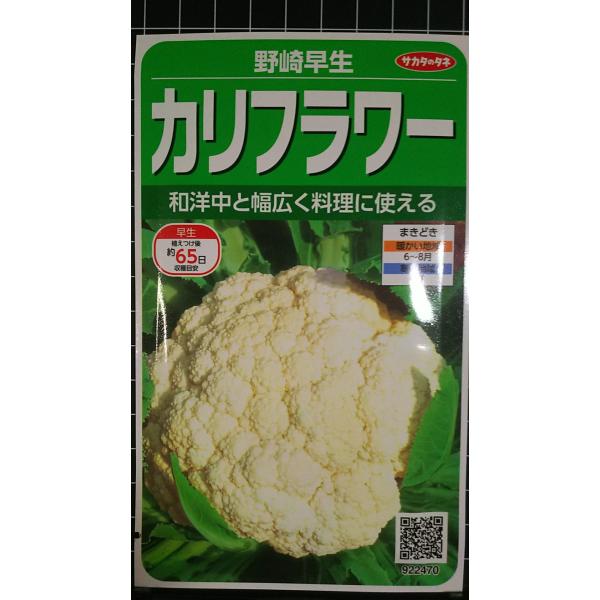 合計350円以下でのご注文は、申し訳ありませんがお受けできなくなっております。在庫切れ防止のため、実際の在庫数より販売可能数を少なく設定しております。まとまった数量をご希望の場合は、お問い合わせください。いろいろな品種を、よりどり３袋以上で...