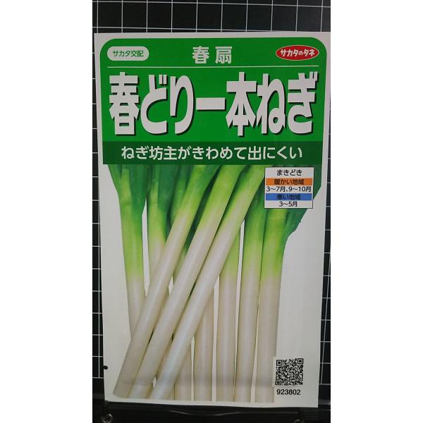 合計350円以下でのご注文は、申し訳ありませんがお受けできなくなっております。在庫切れ防止のため、実際の在庫数より販売可能数を少なく設定しております。まとまった数量をご希望の場合は、お問い合わせください。いろいろな品種を、よりどり３袋以上で...