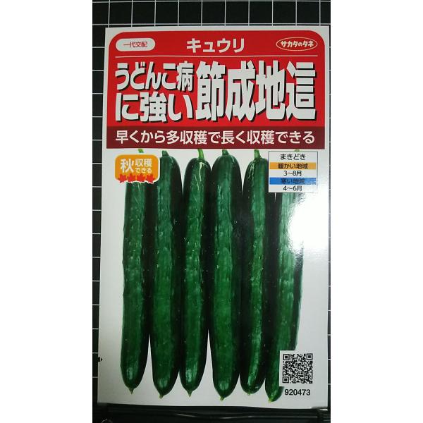 合計350円以下でのご注文は、申し訳ありませんがお受けできなくなっております。在庫切れ防止のため、実際の在庫数より販売可能数を少なく設定しております。まとまった数量をご希望の場合は、お問い合わせください。いろいろな品種を、よりどり３袋以上で...