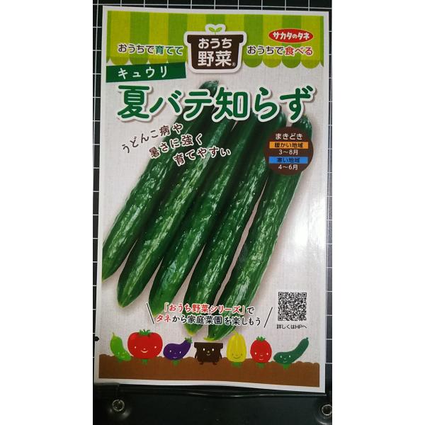 合計350円以下でのご注文は、申し訳ありませんがお受けできなくなっております。在庫切れ防止のため、実際の在庫数より販売可能数を少なく設定しております。まとまった数量をご希望の場合は、お問い合わせください。いろいろな品種を、よりどり３袋以上で...