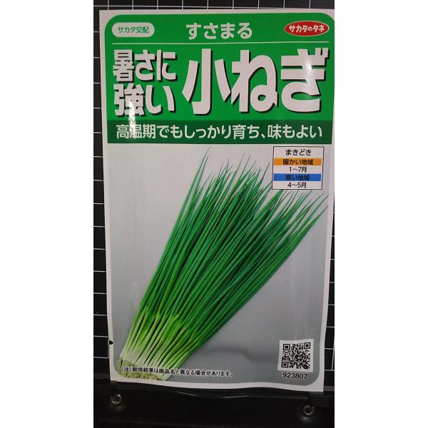 合計350円以下でのご注文は、申し訳ありませんがお受けできなくなっております。在庫切れ防止のため、実際の在庫数より販売可能数を少なく設定しております。まとまった数量をご希望の場合は、お問い合わせください。いろいろな品種を、よりどり３袋以上で...