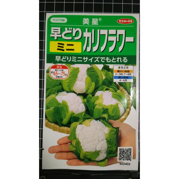 合計350円以下でのご注文は、申し訳ありませんがお受けできなくなっております。在庫切れ防止のため、実際の在庫数より販売可能数を少なく設定しております。まとまった数量をご希望の場合は、お問い合わせください。いろいろな品種を、よりどり３袋以上で...
