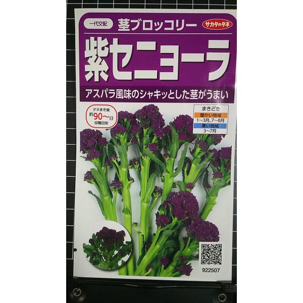 合計350円以下でのご注文は、申し訳ありませんがお受けできなくなっております。在庫切れ防止のため、実際の在庫数より販売可能数を少なく設定しております。まとまった数量をご希望の場合は、お問い合わせください。いろいろな品種を、よりどり３袋以上で...