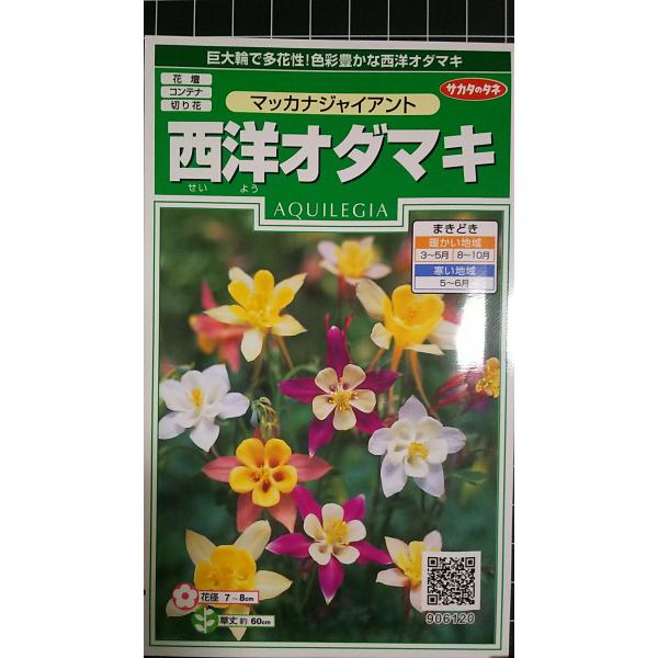 合計350円以下でのご注文は、申し訳ありませんがお受けできなくなっております。在庫切れ防止のため、実際の在庫数より販売可能数を少なく設定しております。まとまった数量をご希望の場合は、お問い合わせください。いろいろな品種を、よりどり３袋以上で...