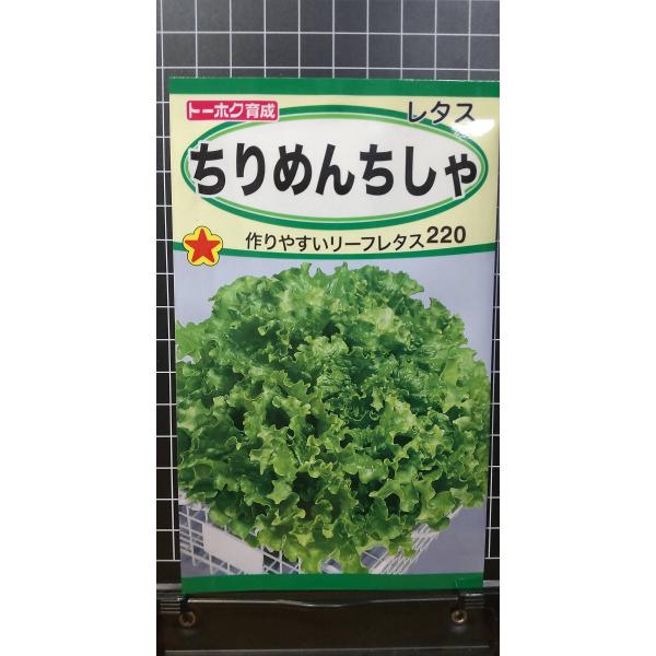 合計350円以下でのご注文は、申し訳ありませんがお受けできなくなっております。在庫切れ防止のため、実際の在庫数より販売可能数を少なく設定しております。まとまった数量をご希望の場合は、お問い合わせください。いろいろな品種を、よりどり３袋以上で...