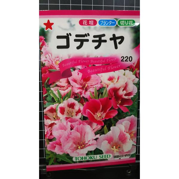 合計350円以下でのご注文は、申し訳ありませんがお受けできなくなっております。在庫切れ防止のため、実際の在庫数より販売可能数を少なく設定しております。まとまった数量をご希望の場合は、お問い合わせください。いろいろな品種を、よりどり３袋以上で...