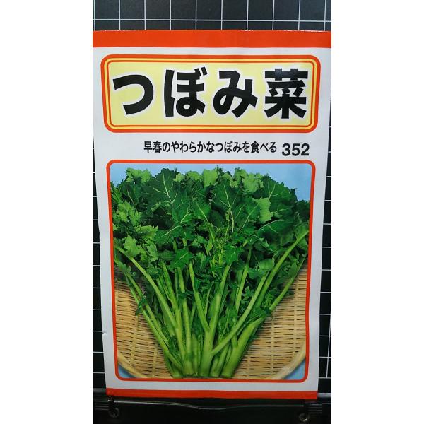 合計350円以下でのご注文は、申し訳ありませんがお受けできなくなっております。在庫切れ防止のため、実際の在庫数より販売可能数を少なく設定しております。まとまった数量をご希望の場合は、お問い合わせください。いろいろな品種を、よりどり３袋以上で...