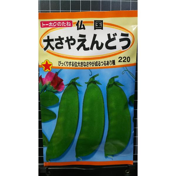 合計350円以下でのご注文は、申し訳ありませんがお受けできなくなっております。在庫切れ防止のため、実際の在庫数より販売可能数を少なく設定しております。まとまった数量をご希望の場合は、お問い合わせください。いろいろな品種を、よりどり３袋以上で...