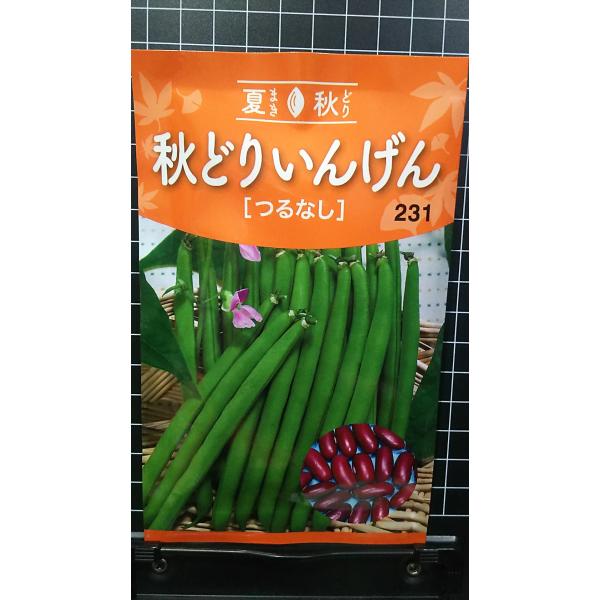 合計350円以下でのご注文は、申し訳ありませんがお受けできなくなっております。在庫切れ防止のため、実際の在庫数より販売可能数を少なく設定しております。まとまった数量をご希望の場合は、お問い合わせください。いろいろな品種を、よりどり３袋以上で...