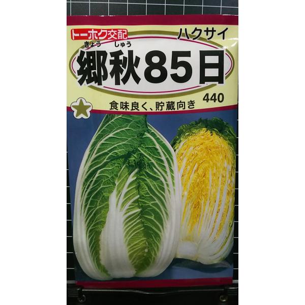 在庫切れ防止のため、実際の在庫数より販売可能数を少なく設定しております。まとまった数量をご希望の場合は、お問い合わせください。いろいろな品種を、よりどり３袋以上で、割引クーポンがご利用可能です。各種クーポンをご利用の方は、クーポン獲得→クー...