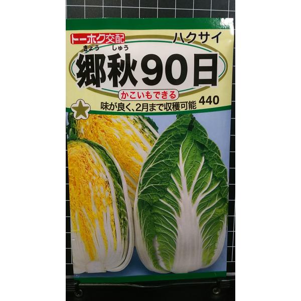 在庫切れ防止のため、実際の在庫数より販売可能数を少なく設定しております。まとまった数量をご希望の場合は、お問い合わせください。いろいろな品種を、よりどり３袋以上で、割引クーポンがご利用可能です。各種クーポンをご利用の方は、クーポン獲得→クー...