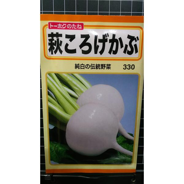 合計350円以下でのご注文は、申し訳ありませんがお受けできなくなっております。在庫切れ防止のため、実際の在庫数より販売可能数を少なく設定しております。まとまった数量をご希望の場合は、お問い合わせください。いろいろな品種を、よりどり３袋以上で...