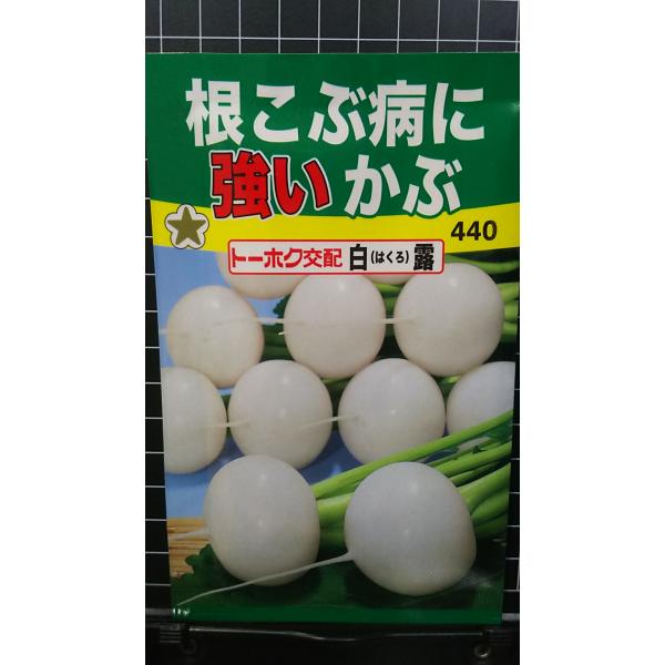 合計350円以下でのご注文は、申し訳ありませんがお受けできなくなっております。在庫切れ防止のため、実際の在庫数より販売可能数を少なく設定しております。まとまった数量をご希望の場合は、お問い合わせください。いろいろな品種を、よりどり３袋以上で...
