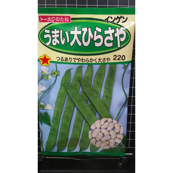 合計350円以下でのご注文は、申し訳ありませんがお受けできなくなっております。在庫切れ防止のため、実際の在庫数より販売可能数を少なく設定しております。まとまった数量をご希望の場合は、お問い合わせください。いろいろな品種を、よりどり３袋以上で...