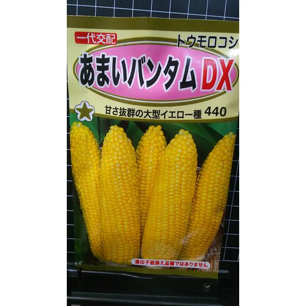 合計300円以下でのご注文は、申し訳ありませんがお受けできなくなっております。いろいろな品種を、よりどり３袋以上で、割引クーポンがご利用可能です。各種クーポンをご利用の方は、クーポン獲得→クーポン適用のご確認をお願いいたします。ご注文確定後...