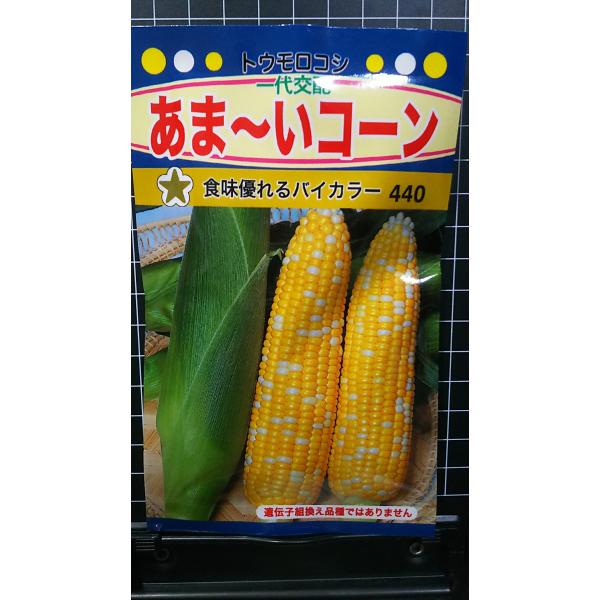 合計300円以下でのご注文は、申し訳ありませんがお受けできなくなっております。いろいろな品種を、よりどり３袋以上で、割引クーポンがご利用可能です。各種クーポンをご利用の方は、クーポン獲得→クーポン適用のご確認をお願いいたします。ご注文確定後...