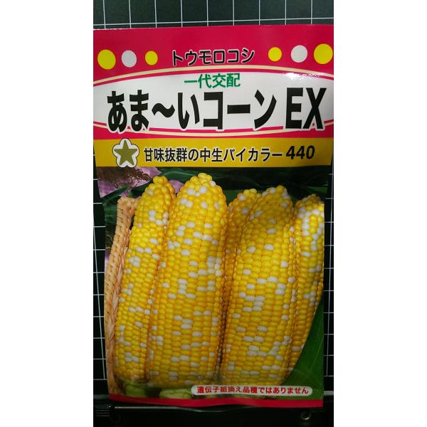 合計300円以下でのご注文は、申し訳ありませんがお受けできなくなっております。いろいろな品種を、よりどり３袋以上で、割引クーポンがご利用可能です。各種クーポンをご利用の方は、クーポン獲得→クーポン適用のご確認をお願いいたします。ご注文確定後...