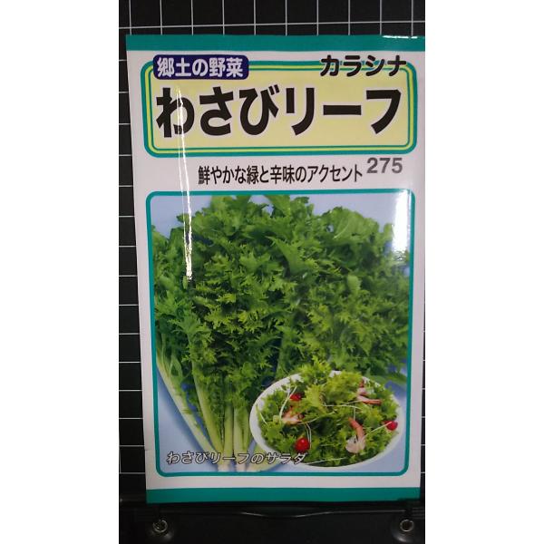 合計350円以下でのご注文は、申し訳ありませんがお受けできなくなっております。在庫切れ防止のため、実際の在庫数より販売可能数を少なく設定しております。まとまった数量をご希望の場合は、お問い合わせください。いろいろな品種を、よりどり３袋以上で...