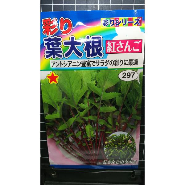 合計350円以下でのご注文は、申し訳ありませんがお受けできなくなっております。在庫切れ防止のため、実際の在庫数より販売可能数を少なく設定しております。まとまった数量をご希望の場合は、お問い合わせください。いろいろな品種を、よりどり３袋以上で...