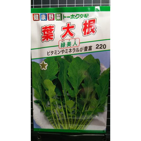 合計350円以下でのご注文は、申し訳ありませんがお受けできなくなっております。在庫切れ防止のため、実際の在庫数より販売可能数を少なく設定しております。まとまった数量をご希望の場合は、お問い合わせください。いろいろな品種を、よりどり３袋以上で...
