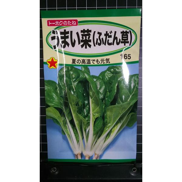 合計350円以下でのご注文は、申し訳ありませんがお受けできなくなっております。在庫切れ防止のため、実際の在庫数より販売可能数を少なく設定しております。まとまった数量をご希望の場合は、お問い合わせください。いろいろな品種を、よりどり３袋以上で...