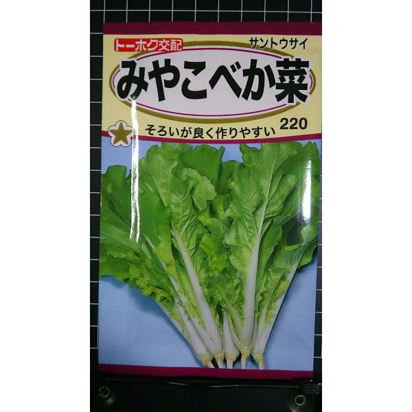 合計350円以下でのご注文は、申し訳ありませんがお受けできなくなっております。在庫切れ防止のため、実際の在庫数より販売可能数を少なく設定しております。まとまった数量をご希望の場合は、お問い合わせください。いろいろな品種を、よりどり３袋以上で...