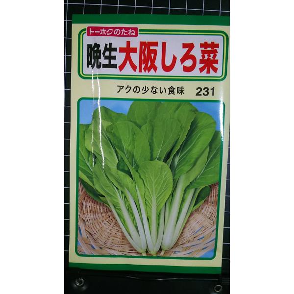 合計350円以下でのご注文は、申し訳ありませんがお受けできなくなっております。在庫切れ防止のため、実際の在庫数より販売可能数を少なく設定しております。まとまった数量をご希望の場合は、お問い合わせください。いろいろな品種を、よりどり３袋以上で...