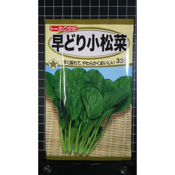合計350円以下でのご注文は、申し訳ありませんがお受けできなくなっております。在庫切れ防止のため、実際の在庫数より販売可能数を少なく設定しております。まとまった数量をご希望の場合は、お問い合わせください。いろいろな品種を、よりどり３袋以上で...