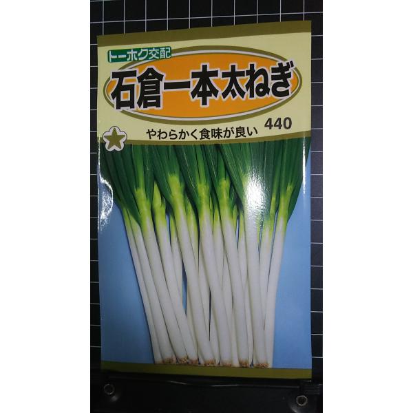 合計350円以下でのご注文は、申し訳ありませんがお受けできなくなっております。在庫切れ防止のため、実際の在庫数より販売可能数を少なく設定しております。まとまった数量をご希望の場合は、お問い合わせください。いろいろな品種を、よりどり３袋以上で...