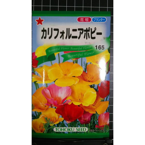 合計350円以下でのご注文は、申し訳ありませんがお受けできなくなっております。在庫切れ防止のため、実際の在庫数より販売可能数を少なく設定しております。まとまった数量をご希望の場合は、お問い合わせください。いろいろな品種を、よりどり３袋以上で...
