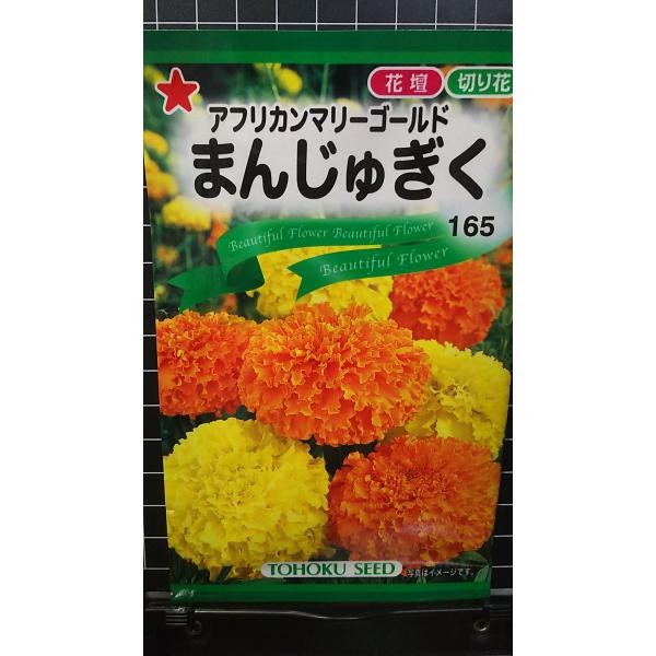 合計350円以下でのご注文は、申し訳ありませんがお受けできなくなっております。在庫切れ防止のため、実際の在庫数より販売可能数を少なく設定しております。まとまった数量をご希望の場合は、お問い合わせください。いろいろな品種を、よりどり３袋以上で...