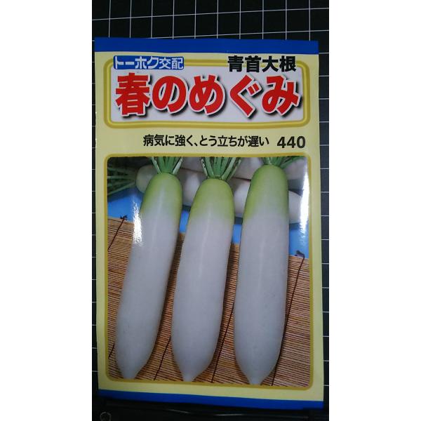 合計350円以下でのご注文は、申し訳ありませんがお受けできなくなっております。在庫切れ防止のため、実際の在庫数より販売可能数を少なく設定しております。まとまった数量をご希望の場合は、お問い合わせください。いろいろな品種を、よりどり３袋以上で...