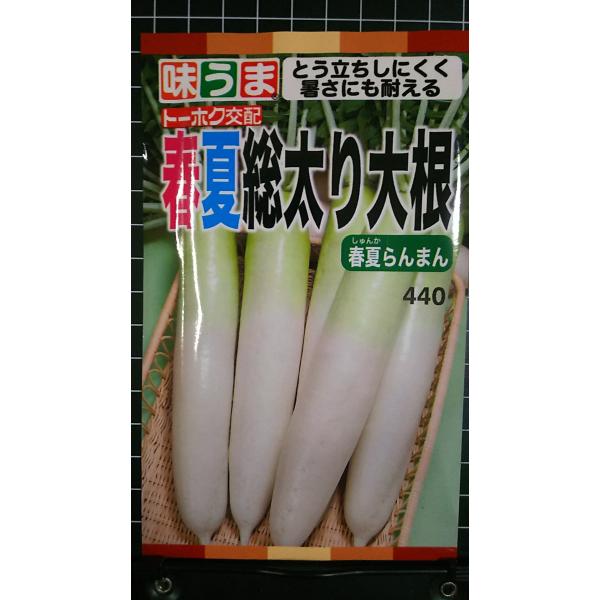 合計350円以下でのご注文は、申し訳ありませんがお受けできなくなっております。在庫切れ防止のため、実際の在庫数より販売可能数を少なく設定しております。まとまった数量をご希望の場合は、お問い合わせください。いろいろな品種を、よりどり３袋以上で...