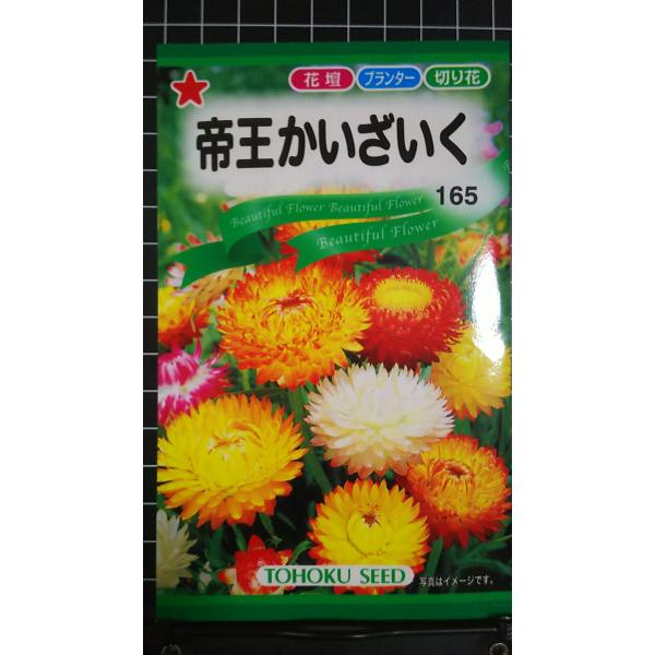 合計350円以下でのご注文は、申し訳ありませんがお受けできなくなっております。在庫切れ防止のため、実際の在庫数より販売可能数を少なく設定しております。まとまった数量をご希望の場合は、お問い合わせください。いろいろな品種を、よりどり３袋以上で...