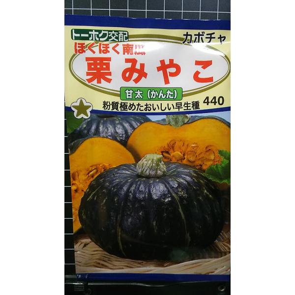 合計350円以下でのご注文は、申し訳ありませんがお受けできなくなっております。在庫切れ防止のため、実際の在庫数より販売可能数を少なく設定しております。まとまった数量をご希望の場合は、お問い合わせください。いろいろな品種を、よりどり３袋以上で...