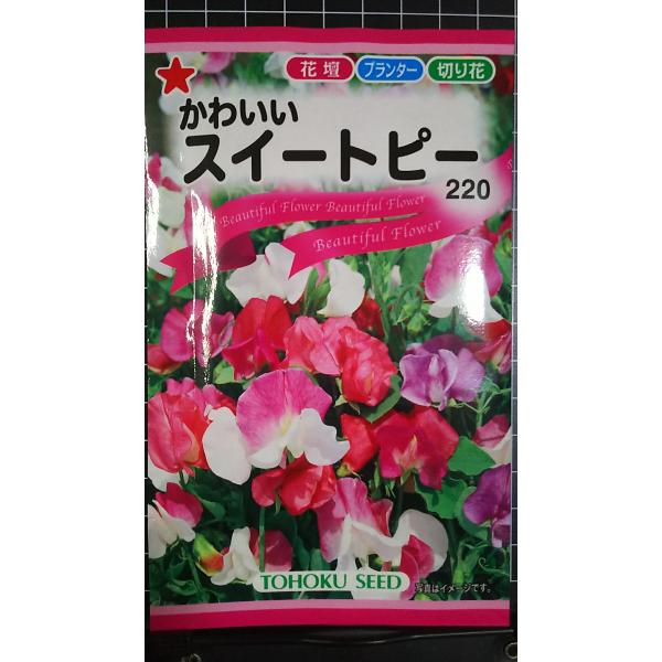 合計350円以下でのご注文は、申し訳ありませんがお受けできなくなっております。在庫切れ防止のため、実際の在庫数より販売可能数を少なく設定しております。まとまった数量をご希望の場合は、お問い合わせください。いろいろな品種を、よりどり３袋以上で...
